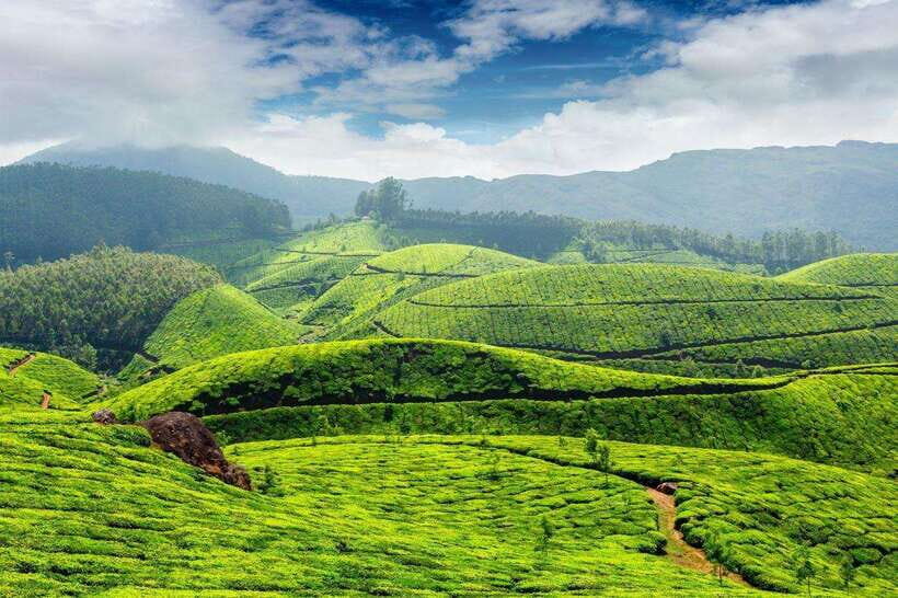 Cameron Highlands Private Day Trip - Frequently Asked Questions