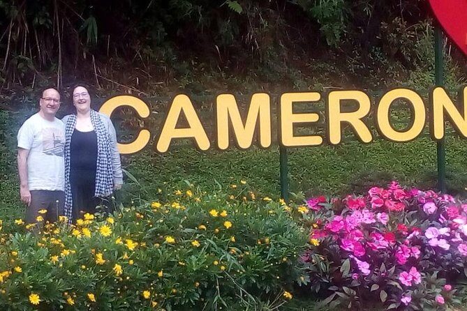 Cameron Highlands Sunrise Discovery - Behind the Scenes at Boh Tea Plantation & Factory