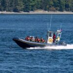 Campbell River: 4 Hour Whale & Wildlife Zodiac Boat Tour - Why This Tour Offers Great Value
