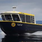 Campbell River: 6 Hour Covered Whale Watching Tour w/ Lunch - The Experience in Depth