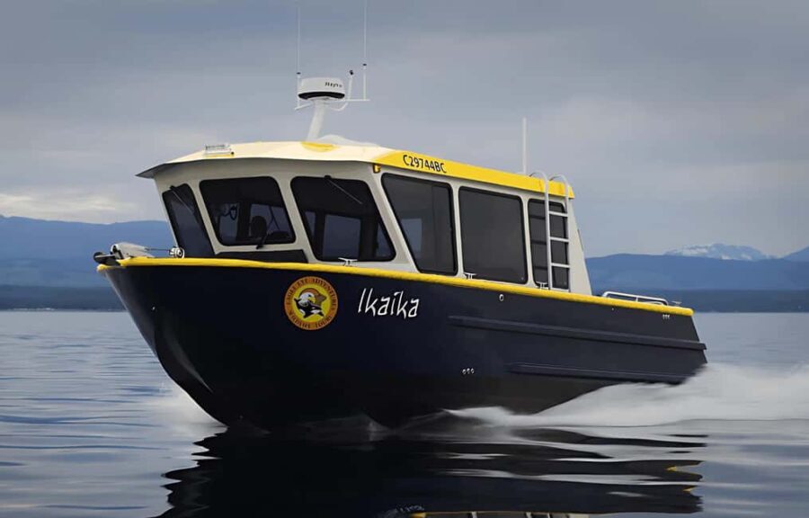 Campbell River: 6 Hour Covered Whale Watching Tour w/ Lunch - The Experience in Depth