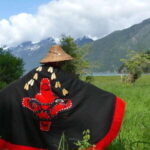 Campbell River: Grizzly Bear-Watching Tour with Lunch - What Makes This Tour Stand Out