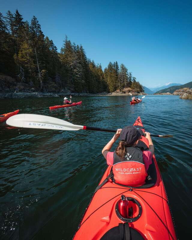 Campbell River: Kayaking and Whale Watching Tour - Practical Details and Considerations