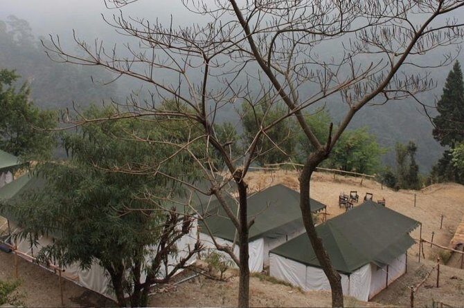 Camping at Pangot with Swiss Tent Stay - Swiss Tents: A Blend of Comfort and Nature