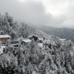 Camping in Binsar, Uttarakhand - The Itinerary: What You Can Expect