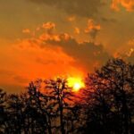 Camping in Chopta - 1 night - The Experience in Context
