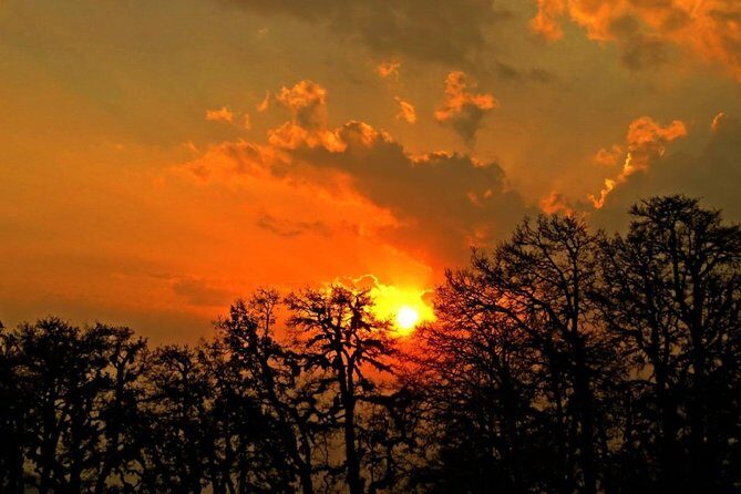 Camping in Chopta - 1 night - The Experience in Context