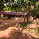 Camping in Habarana - What Does the Tour Include?