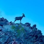 Camping Las Vegas Trip from Base of Hoover Dam, Black Canyon - The Value and Overall Experience