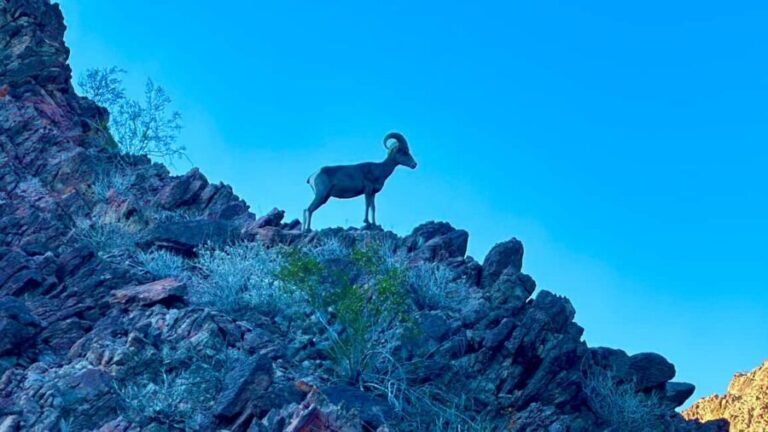 Camping Las Vegas Trip from Base of Hoover Dam, Black Canyon - The Value and Overall Experience