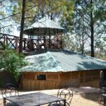 Camping near Shimla - Culinary Experience: Delicious, Well-Organized Meals