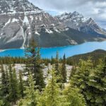 Can/Banff :Columbia Icefield, Crowfoot Glacier and Bow Lake, Tour - The Experience of Guides and Group Dynamics