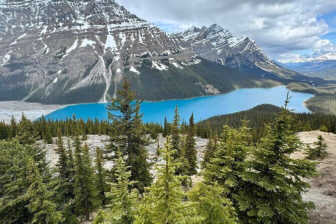 Can/Banff :Columbia Icefield, Crowfoot Glacier and Bow Lake, Tour - The Experience of Guides and Group Dynamics