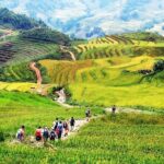 Can Cau Market and Bac Ha Market Private Saturday Tour - What Travelers Are Saying