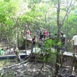 Can Gio Biosphere Private 1 day. - Who Will Love This Tour?
