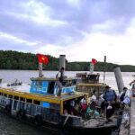 Can Gio Day Tour: Monkeys, Crocodiles, Canoe & Seafood Lunch - Final Thoughts: Who Will Love This Tour?