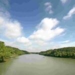 Can Gio: Discovery Vam Sat EcoPark - Can Gio Island Day Trip - What Travelers Love and What They Don’t