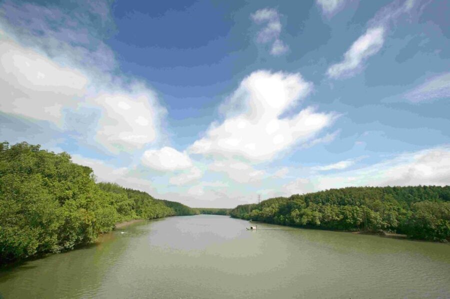 Can Gio: Discovery Vam Sat EcoPark - Can Gio Island Day Trip - What Travelers Love and What They Don’t