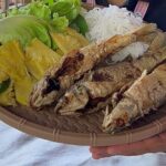 Can Gio Mangrove Forest & Authentic Thanh An Island Private Tour - What Makes This Tour Stand Out?