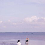 Can Gio Mangrove Forest Tour With Authentic Thanh An Island - Exploring the Tour in Detail