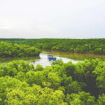 Can Gio UNESCO Biosphere, Monkey Island Private Day Tour - Practical Considerations and Tips