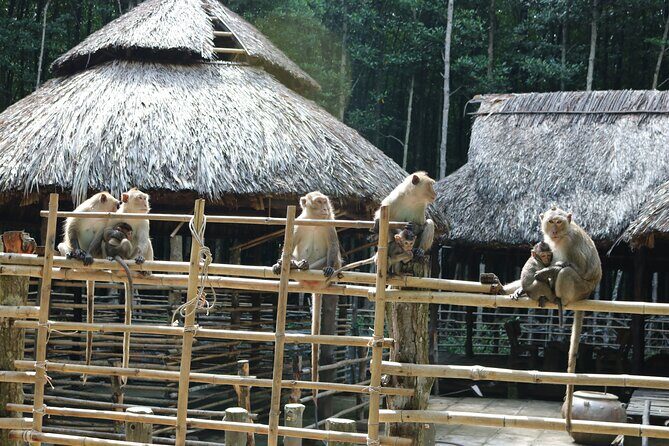 Can Gio - Vam Sat Mangrove Tour Forest - FAQs