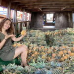 Can Tho: A Real Mekong Tour, Floating Market, Cacao & Life's - An In-Depth Look at What the Tour Offers