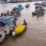 Can Tho: Floating Market & Cycling & Cacao Farm & Rice Field - Value and Practicalities