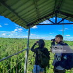 Can Tho: Lung Ngoc Hoang Nature Reserve & Forest Tour - Exploring the Itinerary: What You Can Expect