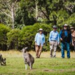 Canberra: Kangaroos and Koala Experience Tour - What the Tour Is Really Like