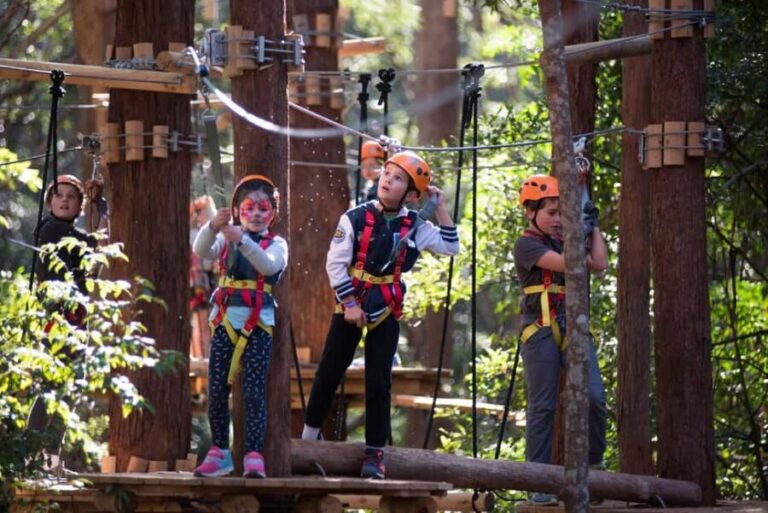 Canberra: Majura Pines Junior Tree Ropes Course - What to Consider Before Booking