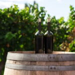 Canberra Wine Tour - What You’ll Experience