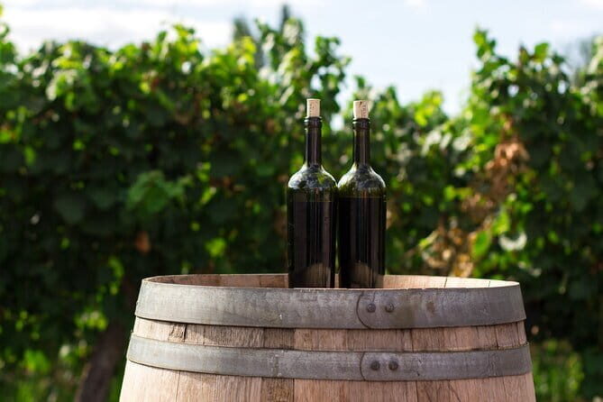 Canberra Wine Tour - What You’ll Experience