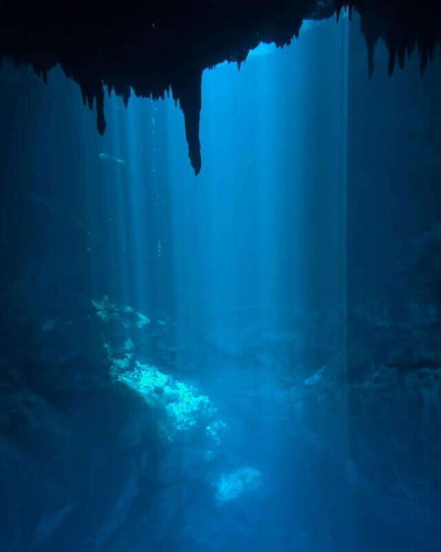 Cancun 2 Cenote Dives: The Pit & Dos Ojos - Certified Divers - Itinerary: What the Day Looks Like