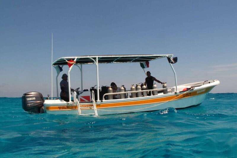 Cancún: 2-Day PADI Open Water Diving Course - How This Course Fits Within Your Cancún Adventure