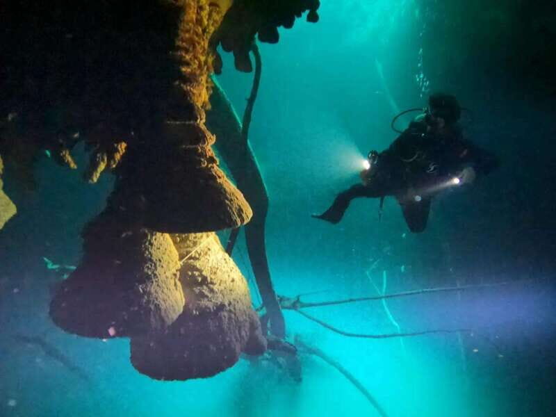 Cancun: 2 Dives in Cenotes Ki Ha + Zapote - Certified Divers - An Authentic Underwater Adventure in Cancun