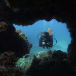 Cancun: 2 Reef Dives at Punta Cancun for Certified Divers - Important Details About the Tour