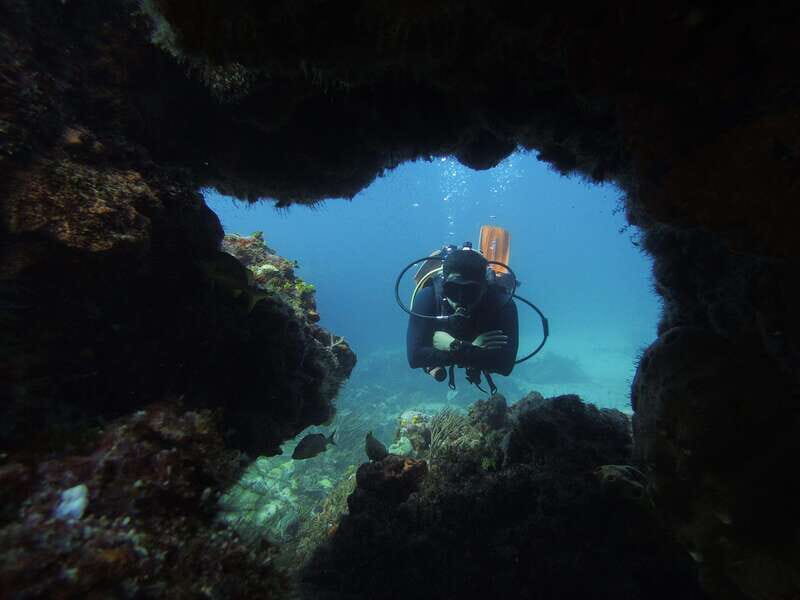 Cancun: 2 Reef Dives at Punta Cancun for Certified Divers - Important Details About the Tour