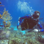 Cancun: 3 Days SDI Open Water Diver Certification - How the Course Is Structured