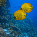 Cancun: 52-Foot Yacht Rental - The Itinerary and What to Expect