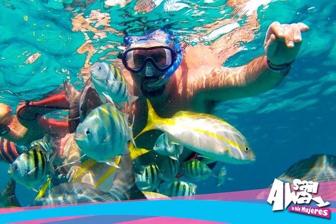 Cancun Adults Only Party Cruise to Isla Mujeres with Open Bar - Snorkeling at the Reefs