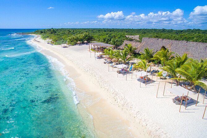 Cancun Airport and Live Aqua Beach Resort Cancun Private Shuttle - The Vehicle Fleet and Comfort