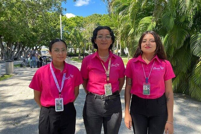 Cancun Airport Private Round Trip Transfer to Mayan Rivera Hotels - The vehicles: Comfort and modernity