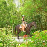 Cancun: Amazing Horseback Riding Tour, Cenote, Zipline & ATV - Who Is This Tour Best For?
