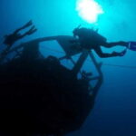 Cancun: Angelfish Discovery Package - Overview of the Cancun: Angelfish Discovery Package Experience