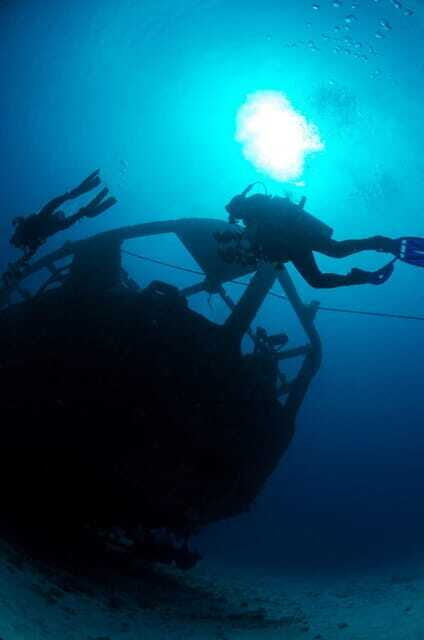 Cancun: Angelfish Discovery Package - Overview of the Cancun: Angelfish Discovery Package Experience
