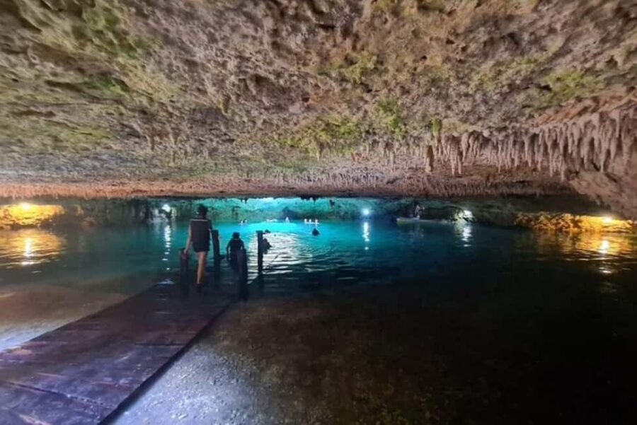 Cancun: ATV, Ziplines, and Cenote Adventure - From the Canopy: Ziplining and Suspension Bridges