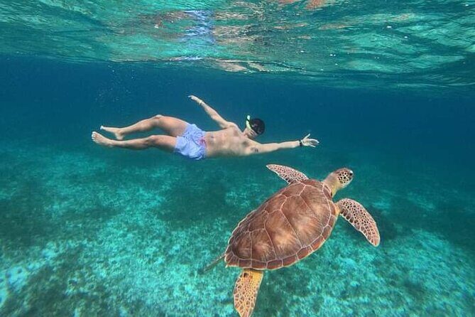 Cancun Catamaran: Sail to Isla Mujeres + Buffet & Drinks - Weighing the Value: How Good Is It?