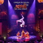 Cancún: Cirque du Soleil JOYÀ Entry Ticket and Transfer - Dining and Extras: A Culinary Touch