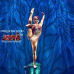 Cancún: Cirque du Soleil JOYÀ Ticket - Final Thoughts on the Cirque du Soleil JOYÀ Experience
